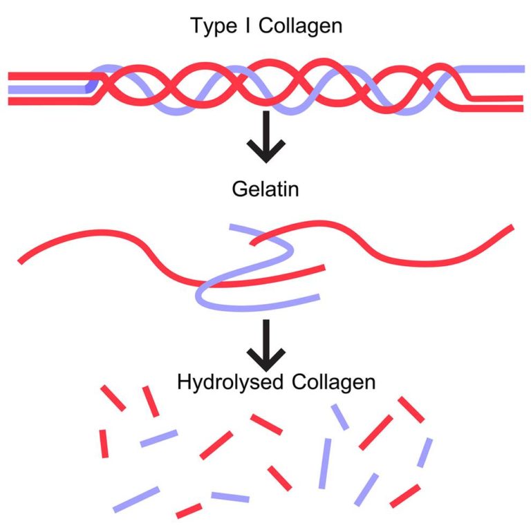 Do collagen products work, and are they worth my money? | myskinandco.com